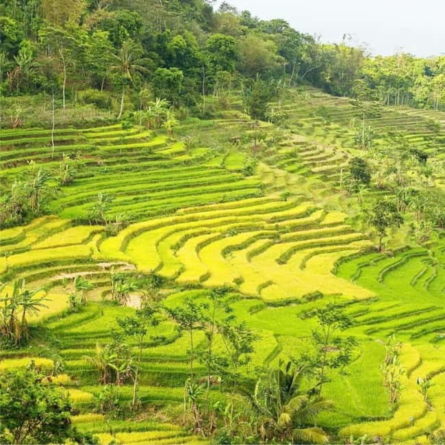 Yogyakarta ;Borobudur Climb Up & Selogriyo Tempel Tracking - FAQ: Practical Questions