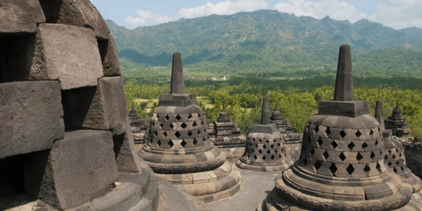 Yogyakarta: Borobudur, Prambanan & Java Nature Exploration - Nglinggo Tea Plantations: Green Terraces and Lush Landscapes