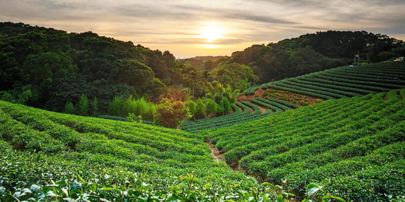 Yogyakarta: Borobudur, Prambanan & Java Nature Exploration - The Sum Up: Who Will Love This Tour?