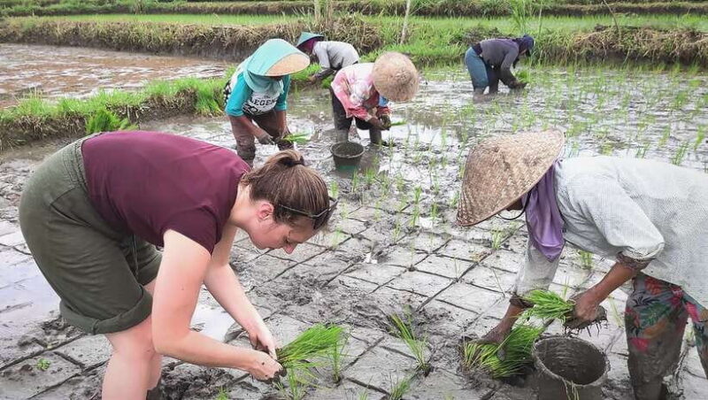 Yogyakarta: Borobudur & Prambanan Private Day Trip - Final Thoughts: The Bottom Line