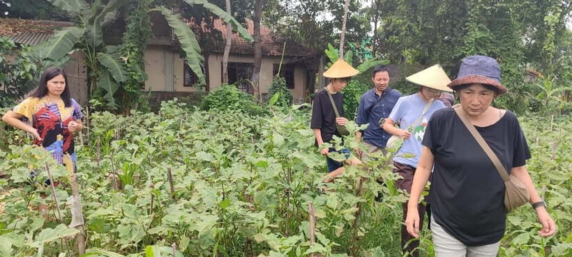 Yogyakarta: Cooking Class with Market Visit and Hotel Pickup - Authenticity and Value