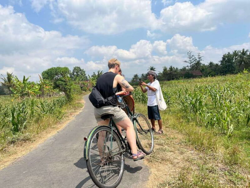 Yogyakarta: Countryside Village Cycling Tour With Guide - Frequently Asked Questions (FAQs)