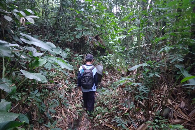 Yogyakarta Countryside Walking Tour - FAQs