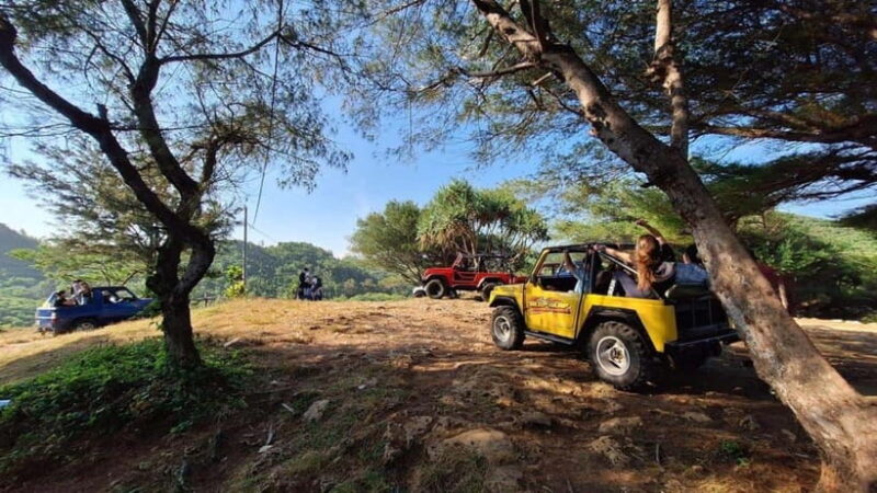 Yogyakarta: Explore Pindul Cave, Oyo River & Timang Beach - Key Points