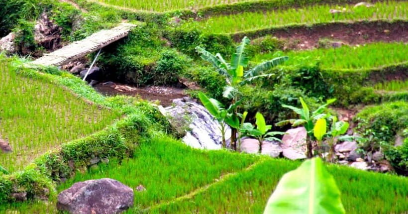 YOGYAKARTA; EXPLORE SELOGRIYO RICE FIELDS & MENDUT TEMPLE. - Final Thoughts