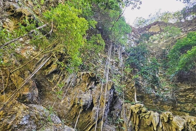 Yogyakarta Jomblang Cave and Pindul Cave Tour - A Day of Natural Wonders and Adventure in Yogyakarta