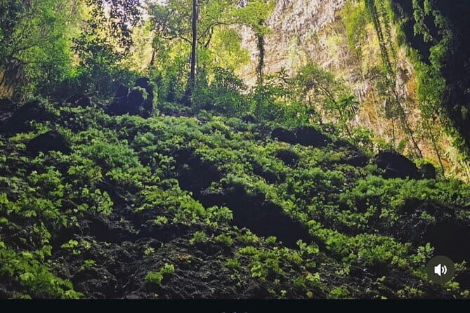 Yogyakarta Jomblang Cave and Pindul Cave Tour - Authentic Experiences and Authenticity