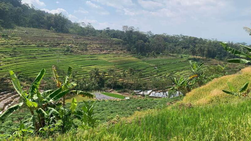 Yogyakarta: Merapi Jeep Tour & Selo Griyo Temple Visit - Practical Tips for Travelers