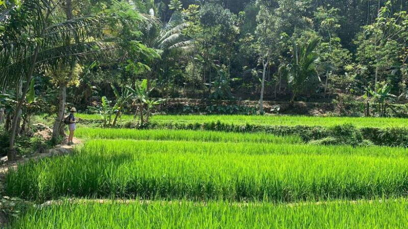 Yogyakarta: Merapi Jeep Tour & Selo Griyo Temple Visit - The Experience Provider: Naila Tour