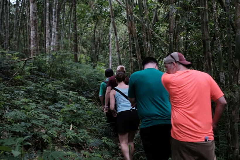 Yogyakarta : Mount Merapi Soft Trek and Botanic Village Tour - Key Points