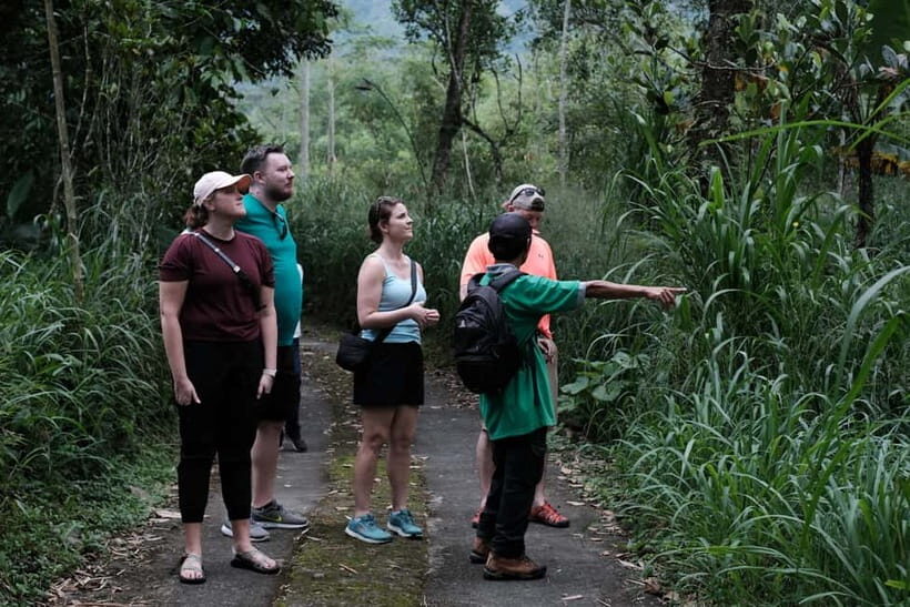 Yogyakarta : Mount Merapi Soft Trek and Botanic Village Tour - An Introduction to the Tour Experience