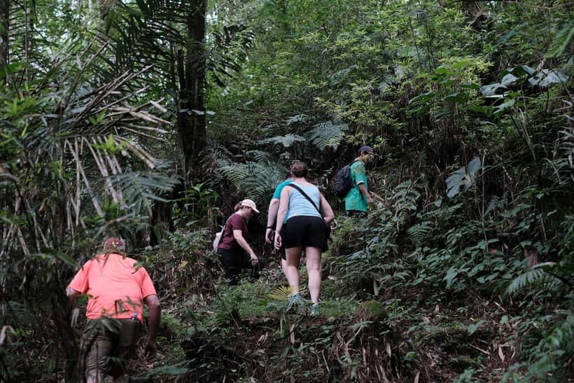 Yogyakarta : Mount Merapi Soft Trek and Botanic Village Tour - The Value of This Tour
