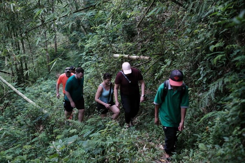 Yogyakarta : Mount Merapi Soft Trek and Botanic Village Tour - Practical Tips for Travelers