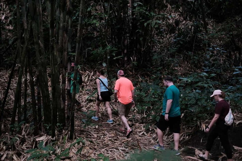 Yogyakarta : Mount Merapi Soft Trek and Botanic Village Tour - Authentic Reviews from Participants