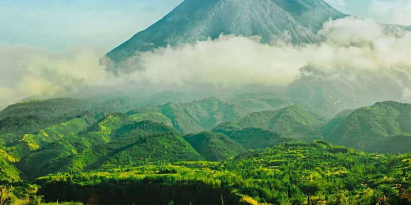 Yogyakarta: Mt. Merapi Jeep Lava Tour Guided Tour - Who Will Love This Tour?