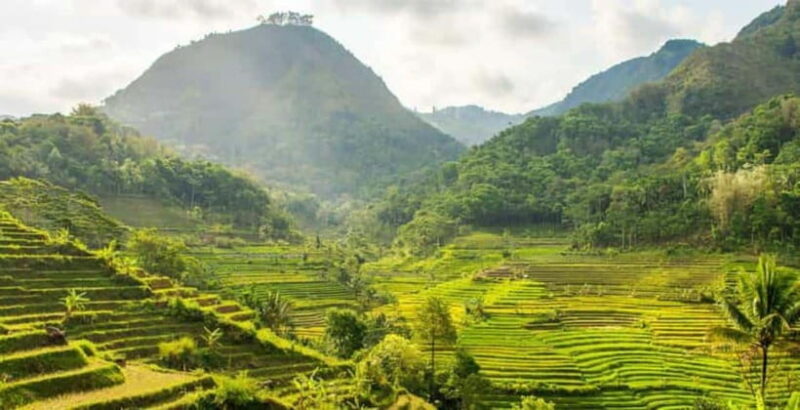 YOGYAKARTA; NEPAL VAN JAVA AND EXPLORE SELOGRIYO RICE FIELDS - The Itinerary in Detail