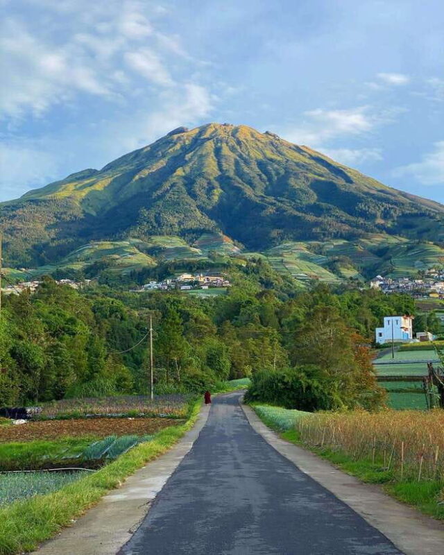 Yogyakarta : Nepal Van java & Kedung Kayang waterfall trip - Why This Tour Offers Great Value