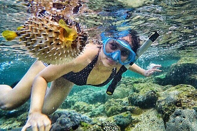 Yogyakarta Nglambor Beach Snorkeling Tour with Private Transport - A Closer Look at the Tour Experience