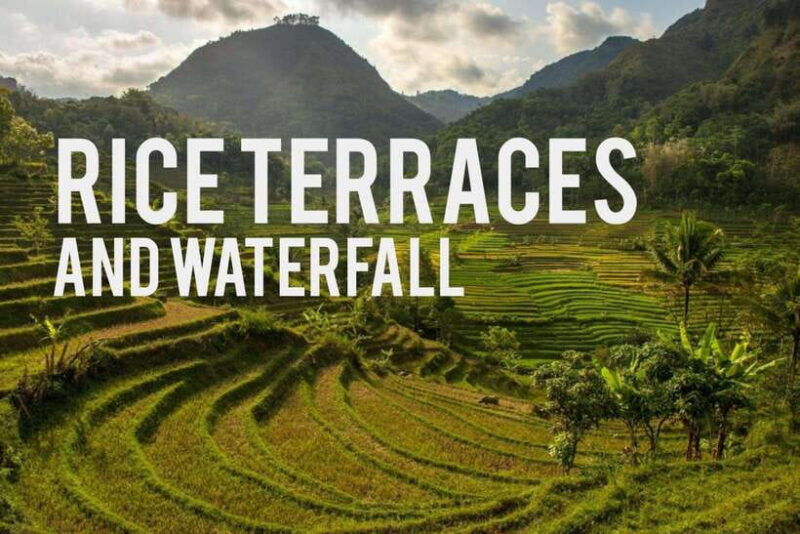 Yogyakarta Rice Terraces Hike and Kedungkayang Waterfall - Authentic Experiences & Real Reviews