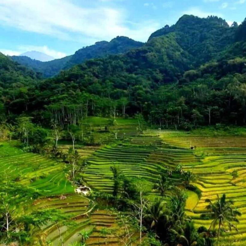 Yogyakarta; Selogriyo Tempel & Tracking Terrased Rice Fields - Key Points