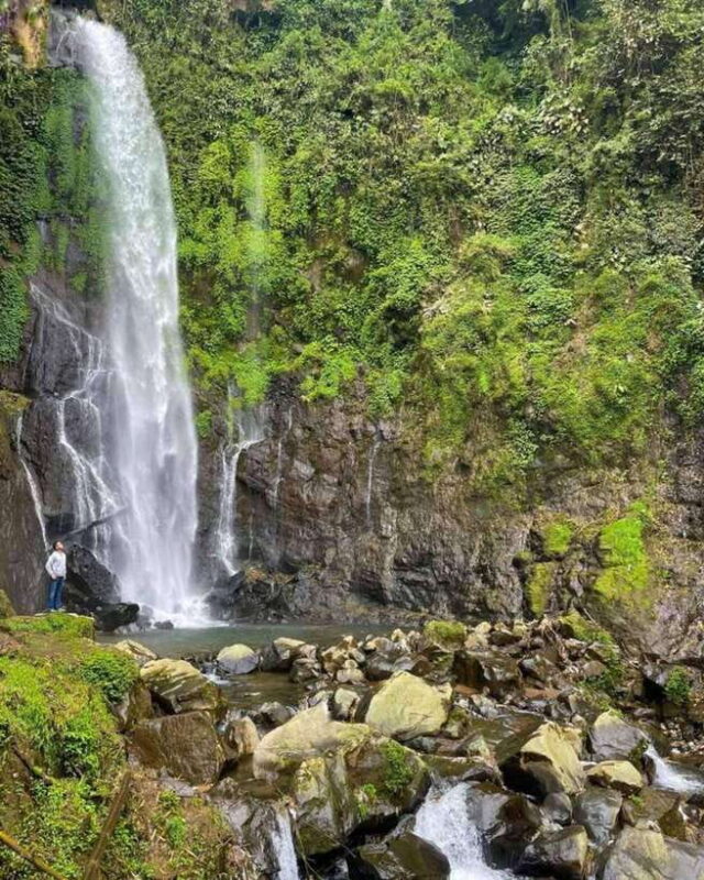 Yogyakarta; Selogriyo Tempel & Tracking Terrased Rice Fields - Who This Tour Is Best For