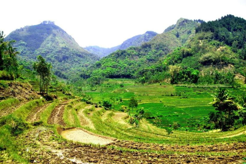 Yogyakarta; Selogriyo Tempel & Tracking Terrased Rice Fields - FAQs