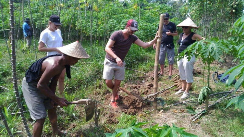 Yogyakarta: Selogriyo Temple and Candirejo Cycling Tour - Who Is This Tour Best For?