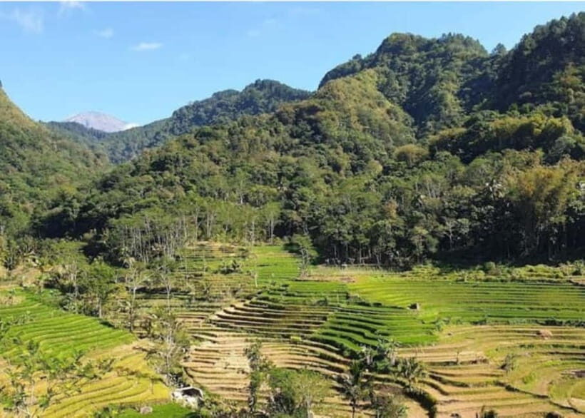Yogyakarta : Selogriyo Temple And Kedung Kayang Waterfall - Practical Details and Value