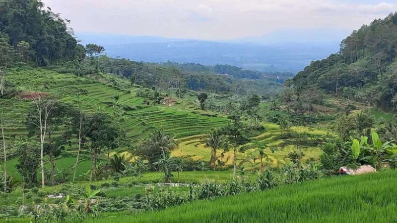 Yogyakarta : Selogriyo Temple And Kedung Kayang Waterfall - FAQ