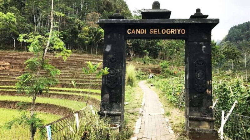 Yogyakarta: Selogriyo Temple and Rice Terrace Soft Trekking - FAQ