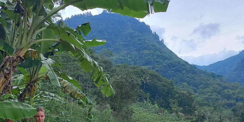 Yogyakarta :selogriyo temple, rice field trek& nepalvan java - Key Points