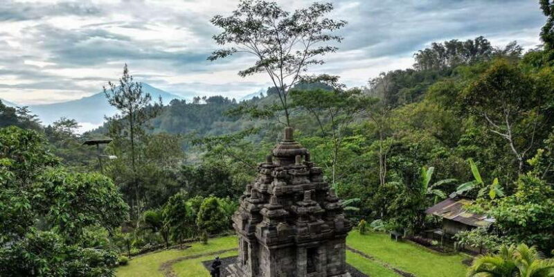 Yogyakarta :selogriyo temple, rice field trek& nepalvan java - Authentic Reviews from Travelers