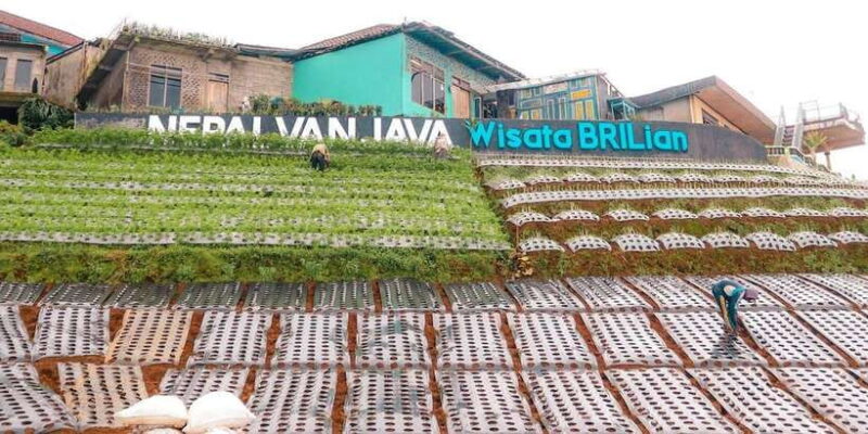 Yogyakarta :selogriyo temple, rice field trek& nepalvan java - What Makes This Tour Stand Out