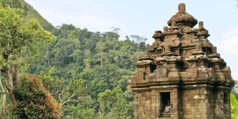 Yogyakarta: Selogriyo Temple Tour & Java Rice Terrace Trek - Practical Tips for Travelers