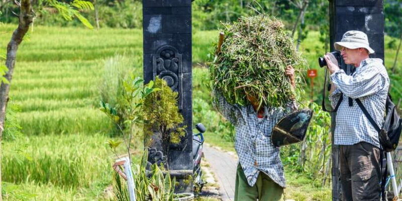 Yogyakarta: Selogriyo Temple Tour & Java Rice Terrace Trek - Who Will Love This Tour?
