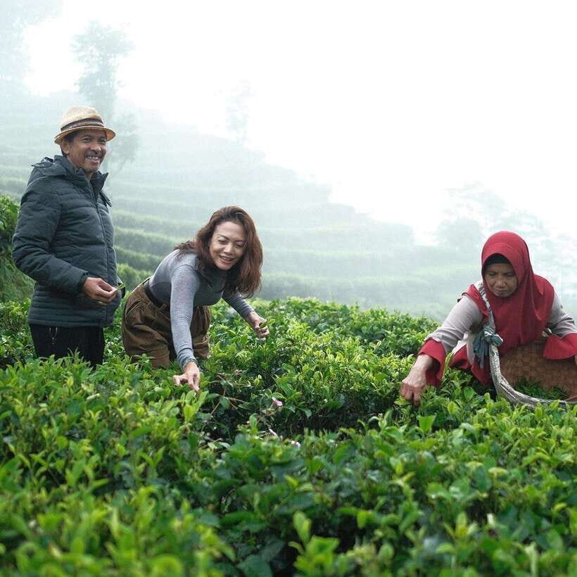 Yogyakarta Tea Class & Borobudur Climb Up Guided Shared Tour - Practical Details: What to Expect