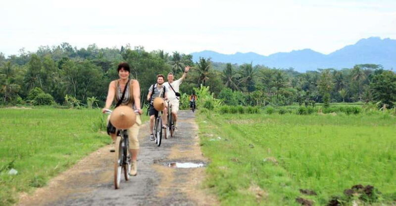 Yogyakarta: Traditional Village Bicycle Tour with Transfer - Key Points