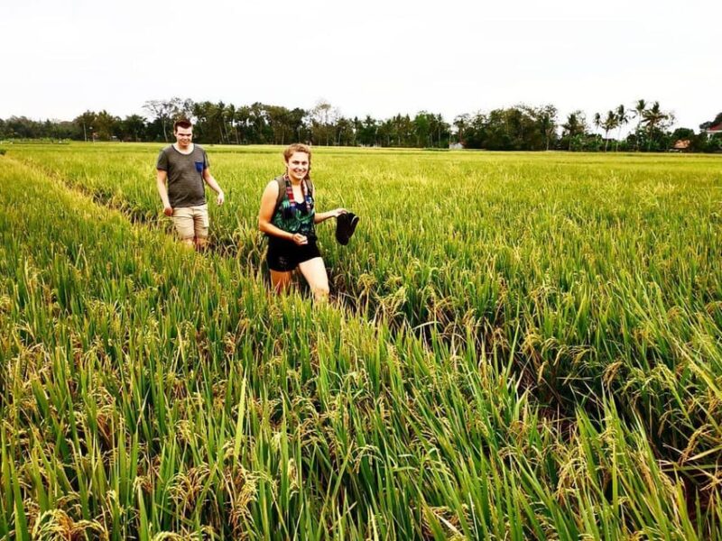 Yogyakarta: Traditional Village Bicycle Tour with Transfer - Who Will Love This Tour?