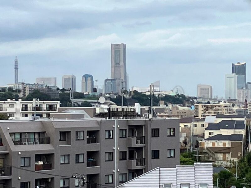 Yokohama Full Day Tour With a Local Expert Guide - Key Points