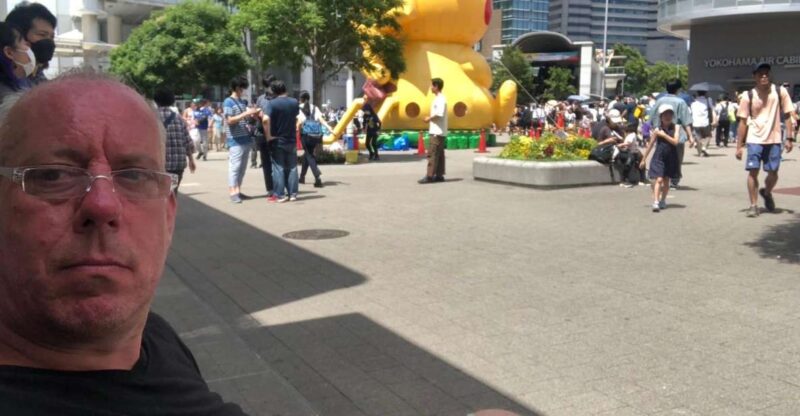 Yokohama Full Day Tour With a Local Expert Guide - Immerse in the Beauty of Sankeien Gardens