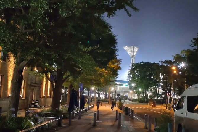Yokohama Private Tour -Night View- - Participant Information