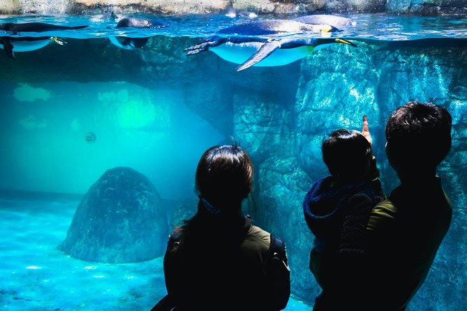 Yokohama Private Tours With Locals: 100% Personalized, See the City Unscripted - Personalize Your Yokohama Tour to Match Your Interests