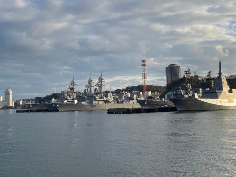 Yokosuka: Uninhabited Island and Naval Port Cruise - Inclusions and Exclusions