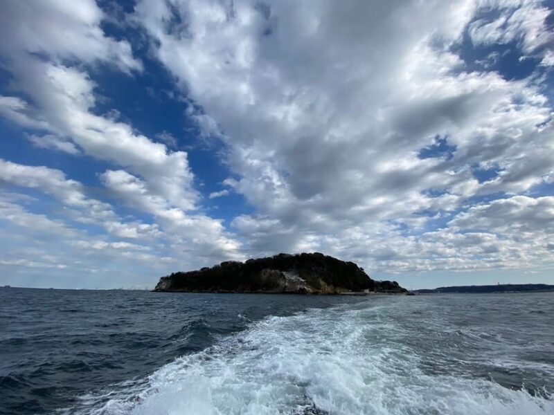 Yokosuka: Uninhabited Island and Naval Port Cruise - Guide and Customer Reviews