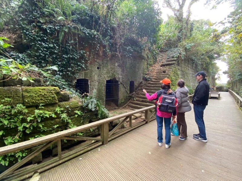 Yokosuka: Uninhabited Island and Naval Port Cruise - Exploring Sarushima Island