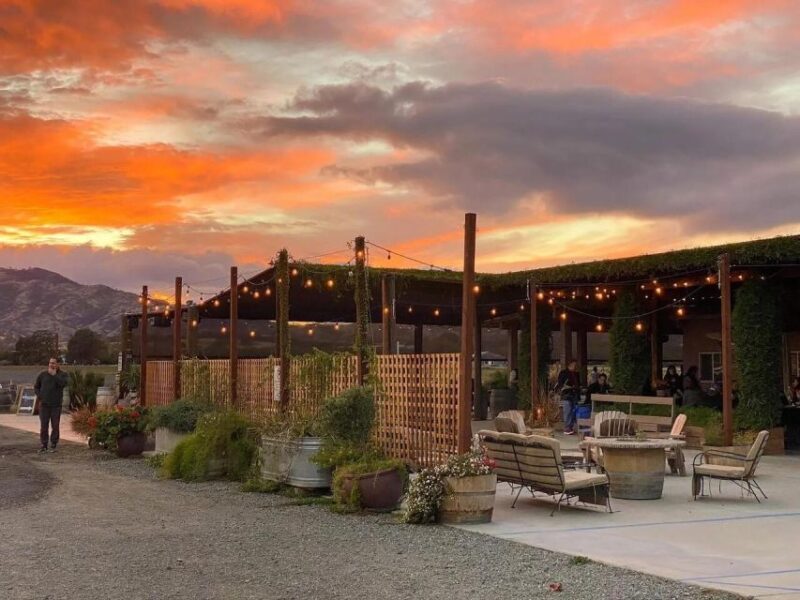 Yolo: Vineyards, Farms & Cultural Gems - Audio Driving Tour - Analyzing the Value