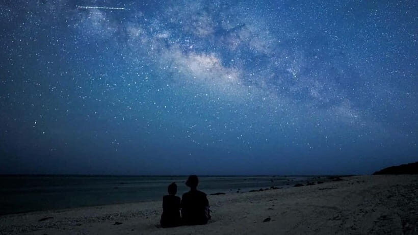 Yonaguni Island: Stargazing and Jungle Night Tour - A Closer Look at What to Expect