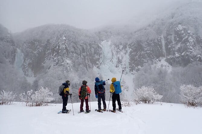 Yonako Falls Expedition: A Snowshoeing Adventure - An In-Depth Look at the Yonako Falls Snowshoeing Tour