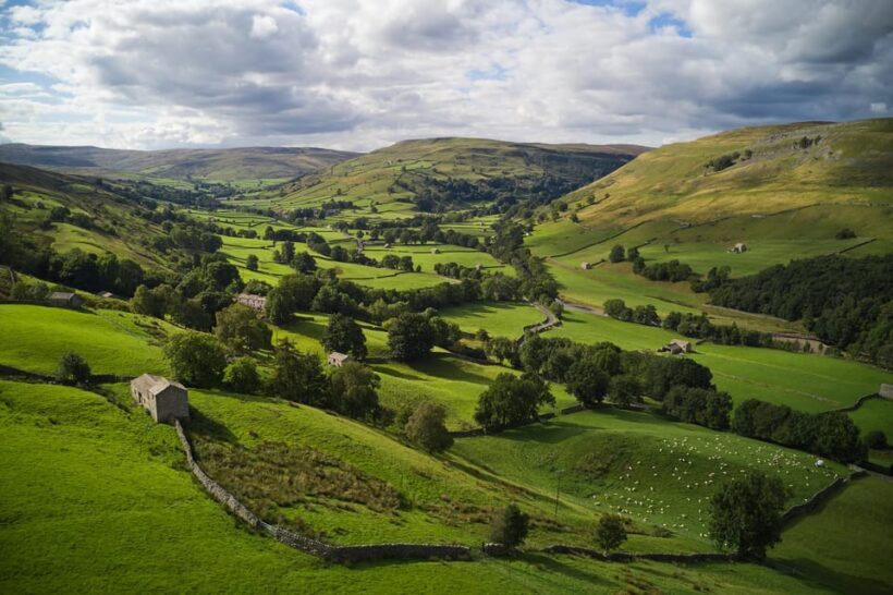 York: "All Creatures Great and Small" Yorkshire Dales Tour - A Deep Dive into the Yorkshire Dales "All Creatures Great and Small" Tour