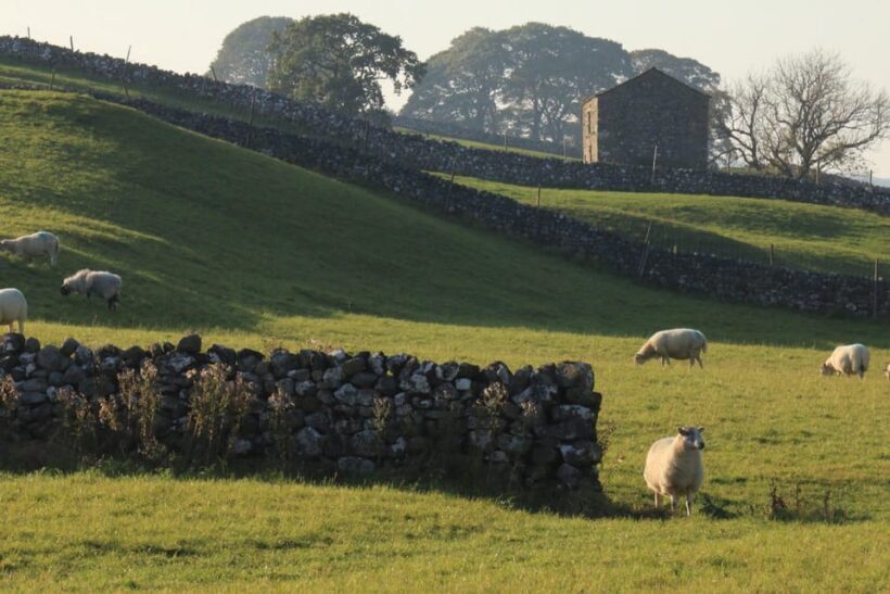 York: "All Creatures Great and Small" Yorkshire Dales Tour - Authenticity and Overall Experience